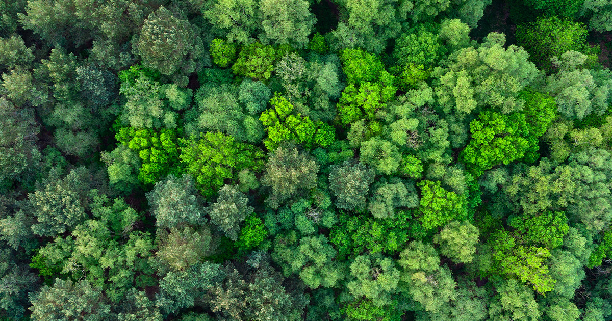 BI Announces Strategic Partnership in PUR Projet | Bregal Sphere