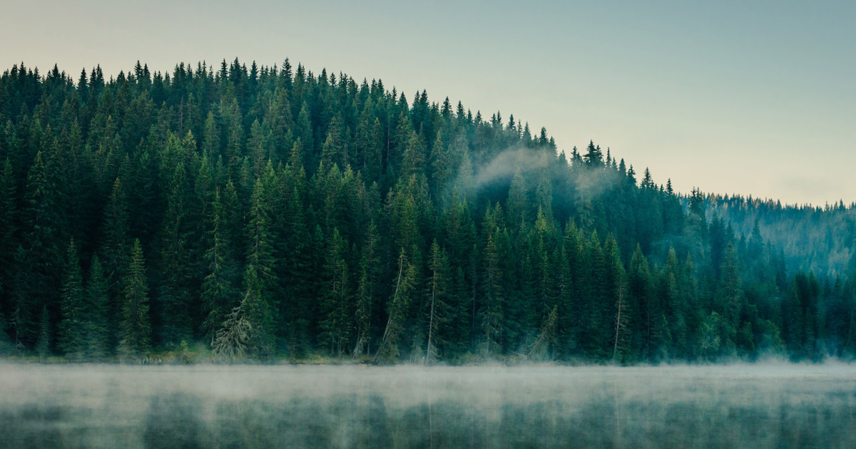 BI Releases 2022 Responsible Investment Report | Bregal Sphere