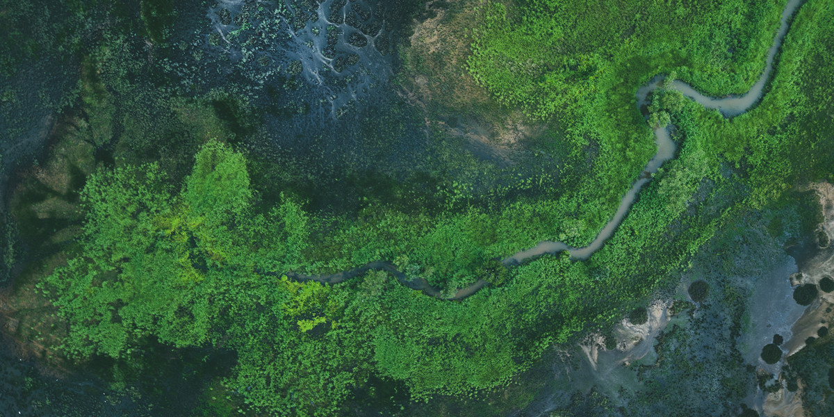 Bregal Investments launches Bregal Sphere Nature strategy | Bregal Sphere